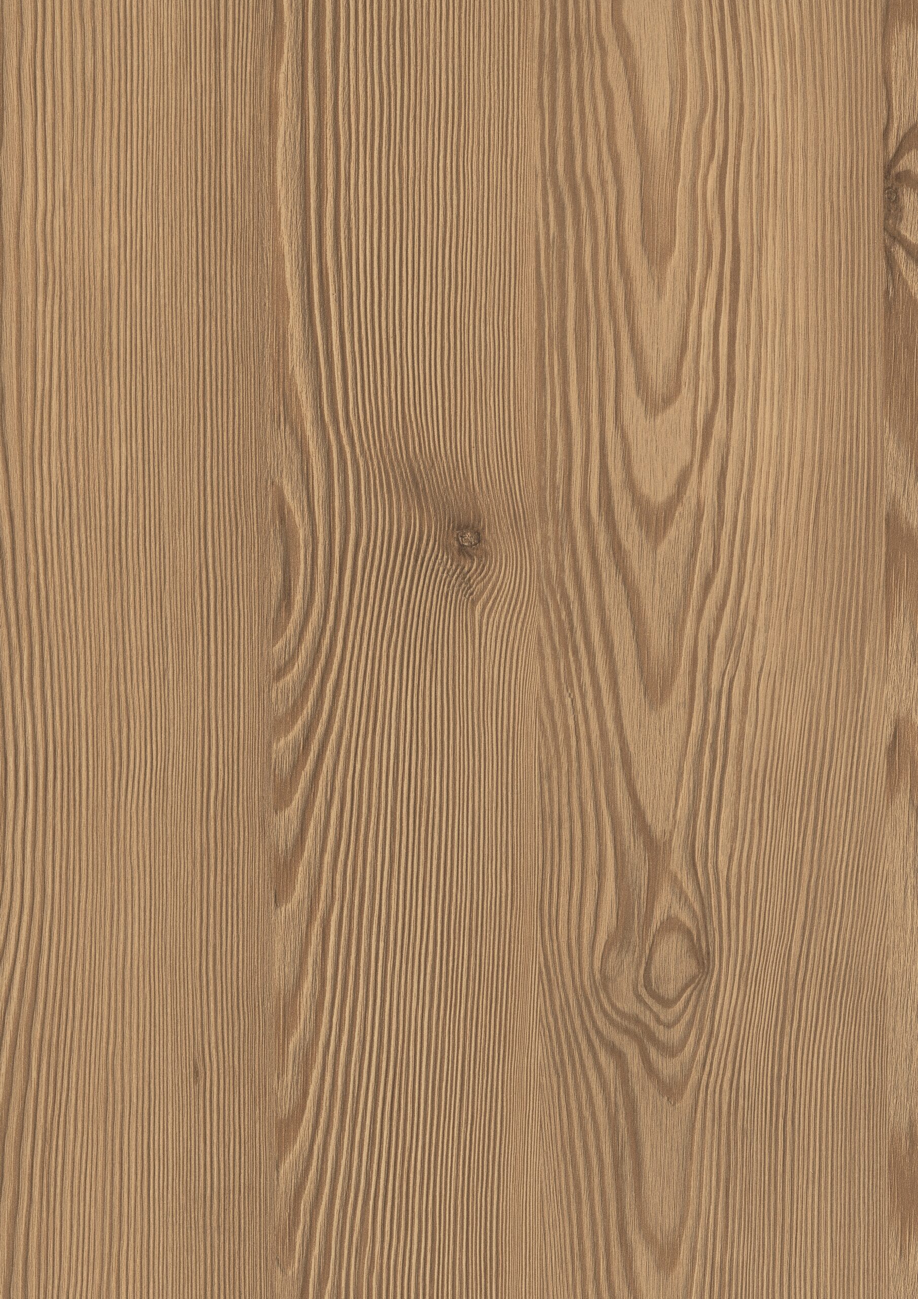 Egger ABS-Kante 2x23mm Rolle 75m H3404 ST38 - Berglärche braun | Holz ...